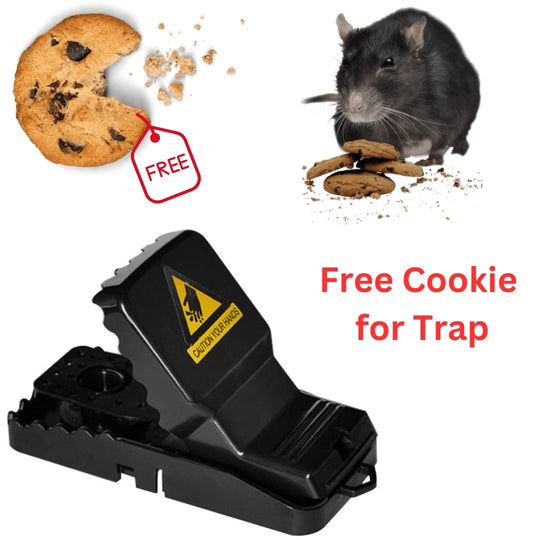 Heavy Duty Mouse Trap – BlackOwl