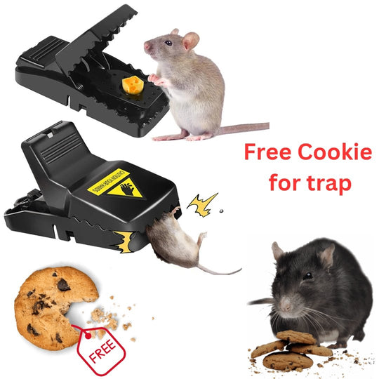 Heavy Duty Mouse Trap – BlackOwl